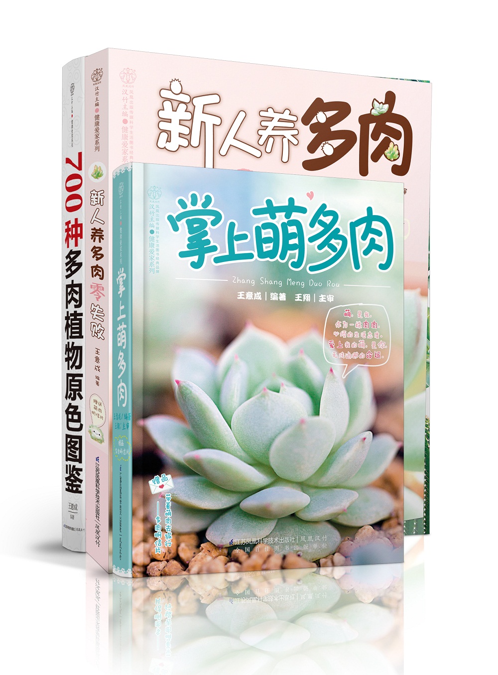 “花样爷爷”王意成带你一起玩多肉（套装共3册）