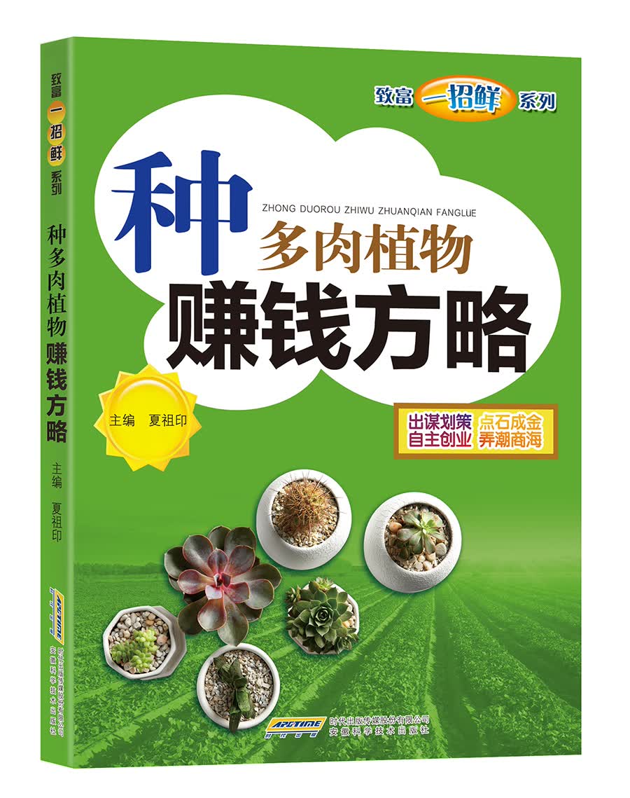 种多肉植物赚钱方略