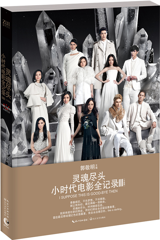小时代4灵魂尽头：小时代电影全记录（3）
