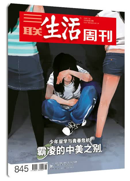 三联生活周刊（2015年第29期）
