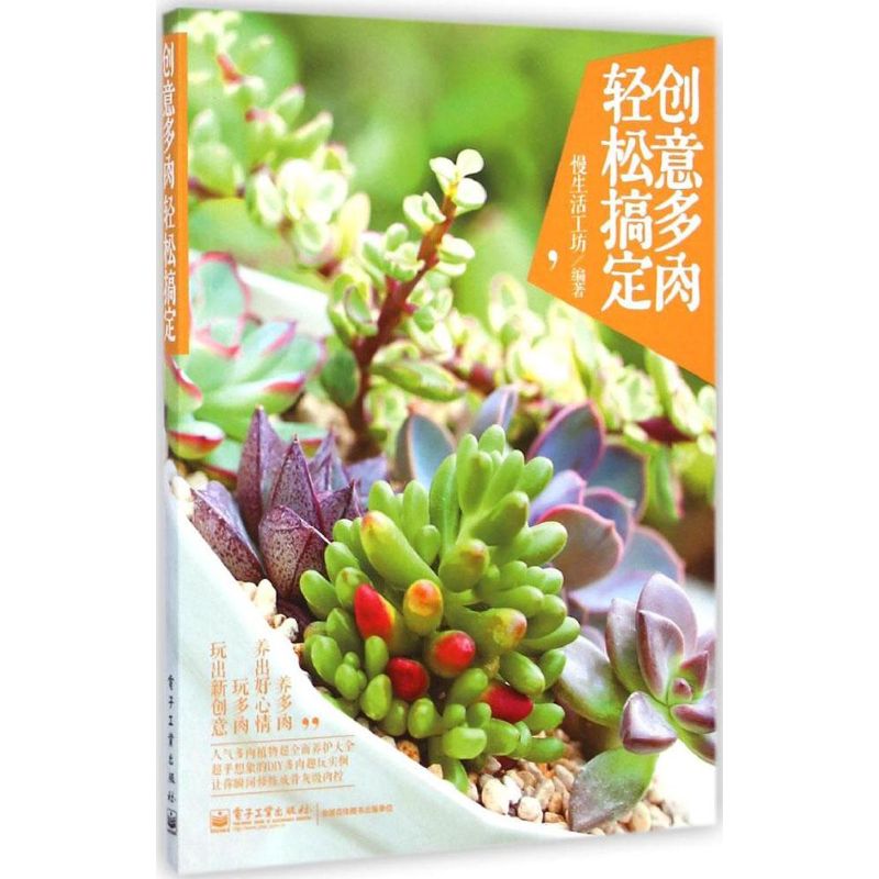 创意多肉,轻松搞定
