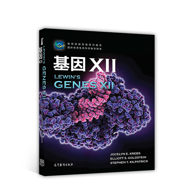 基因12