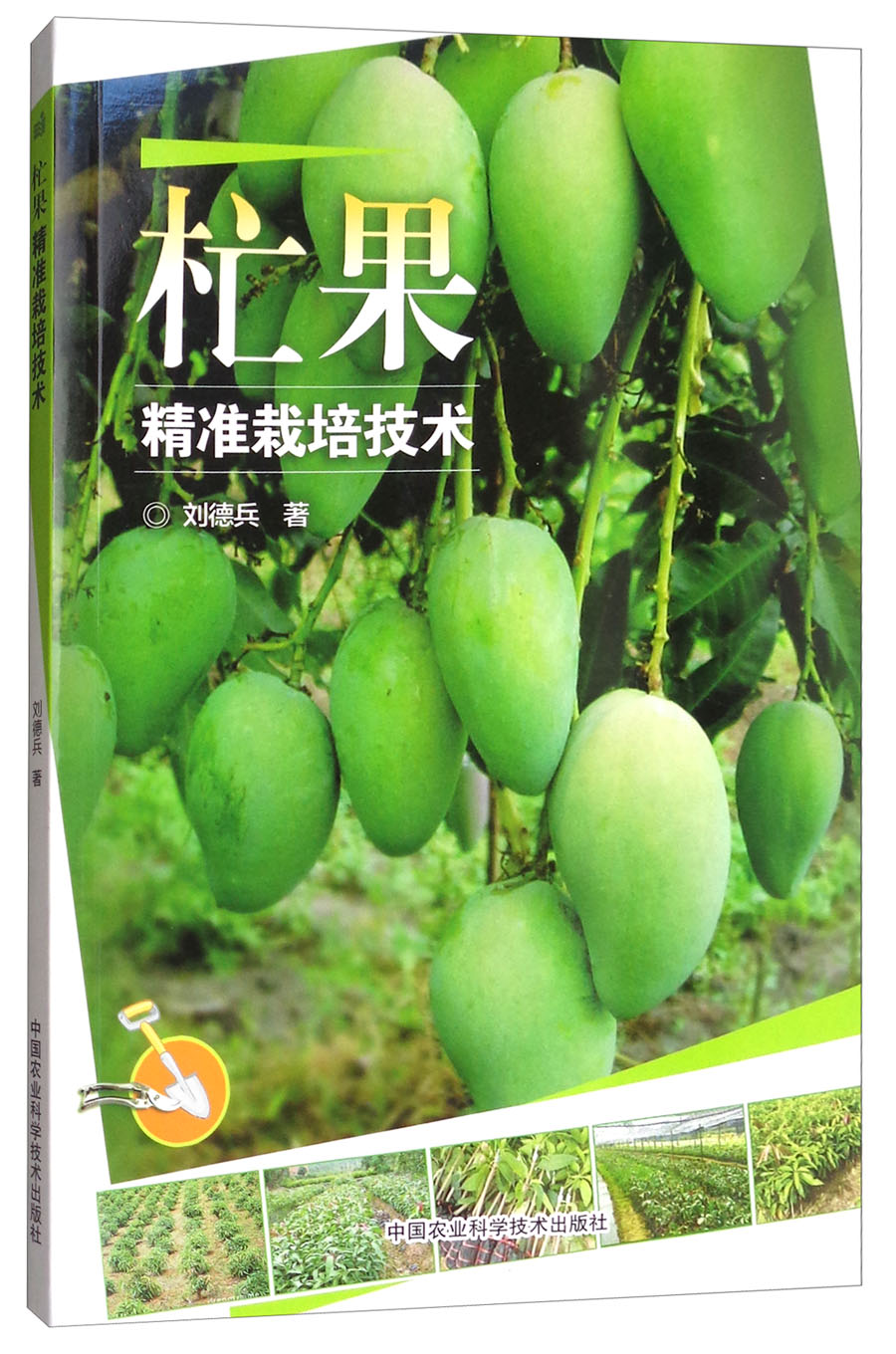 杧果精准栽培技术