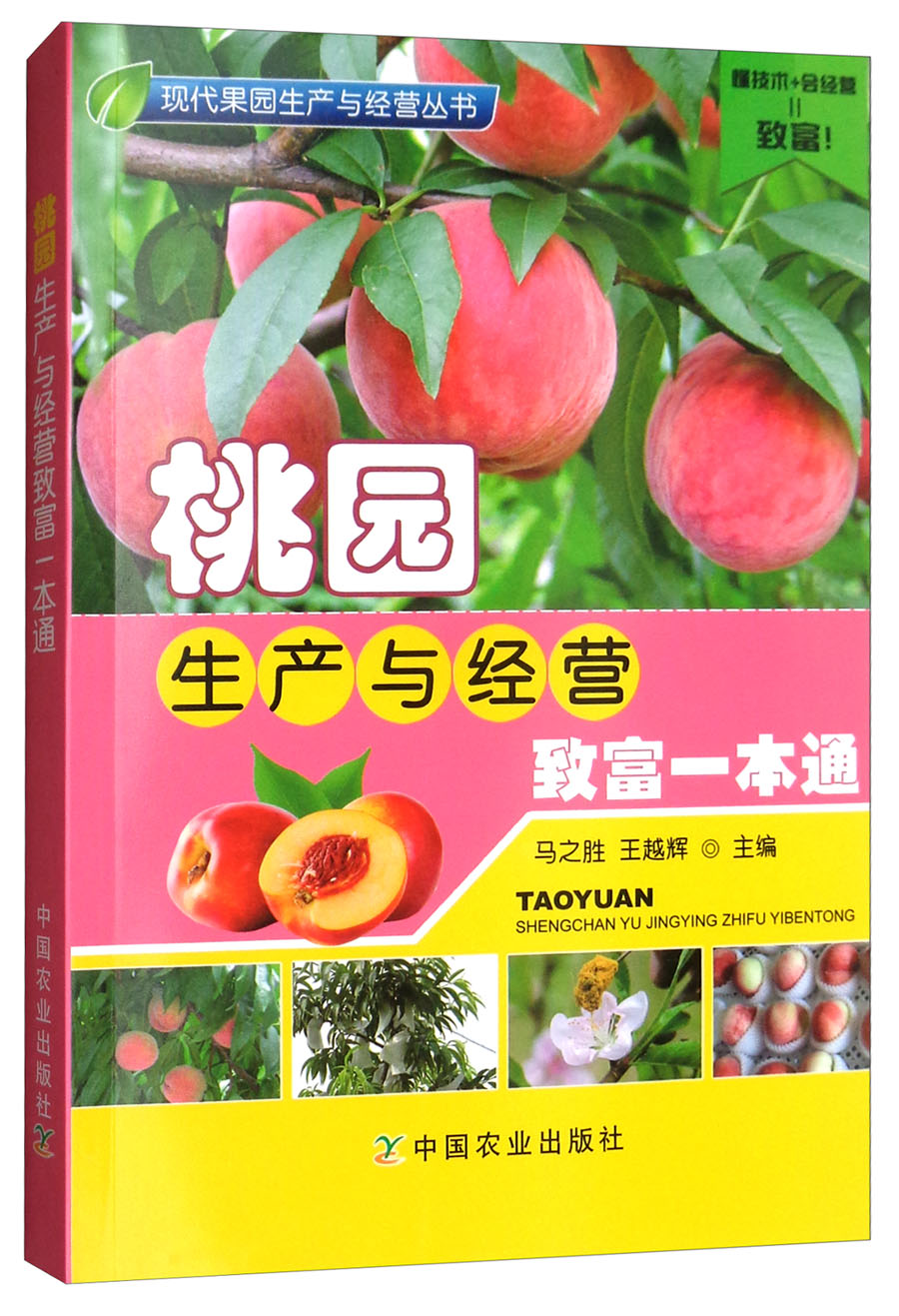 桃园生产与经营致富一本通/现代果园生产与经营丛书