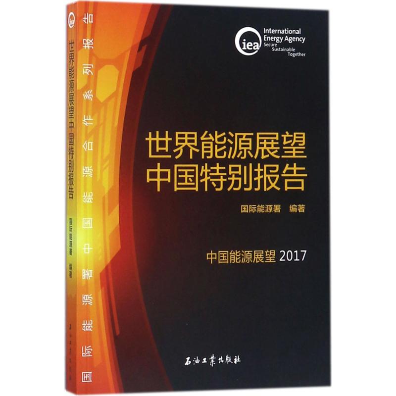 世界能源展望中国特别报告