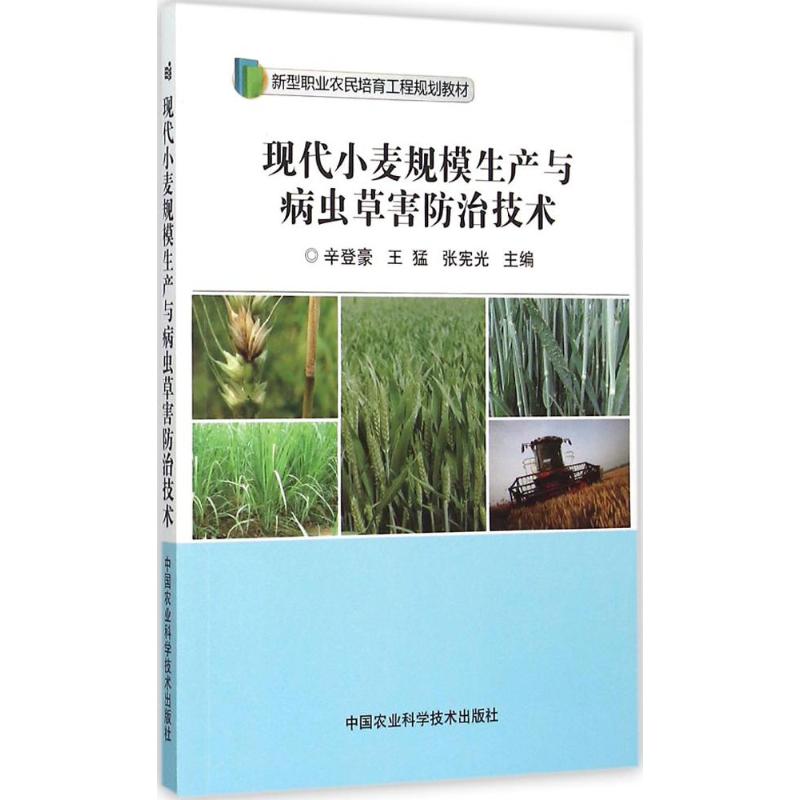 现代小麦规模生产与病虫草害防治技术