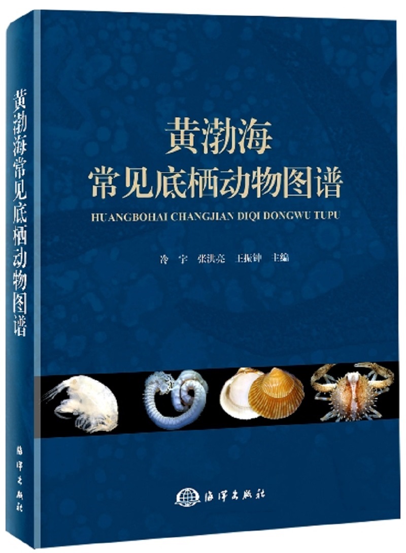 黄渤海常见底栖动物图谱