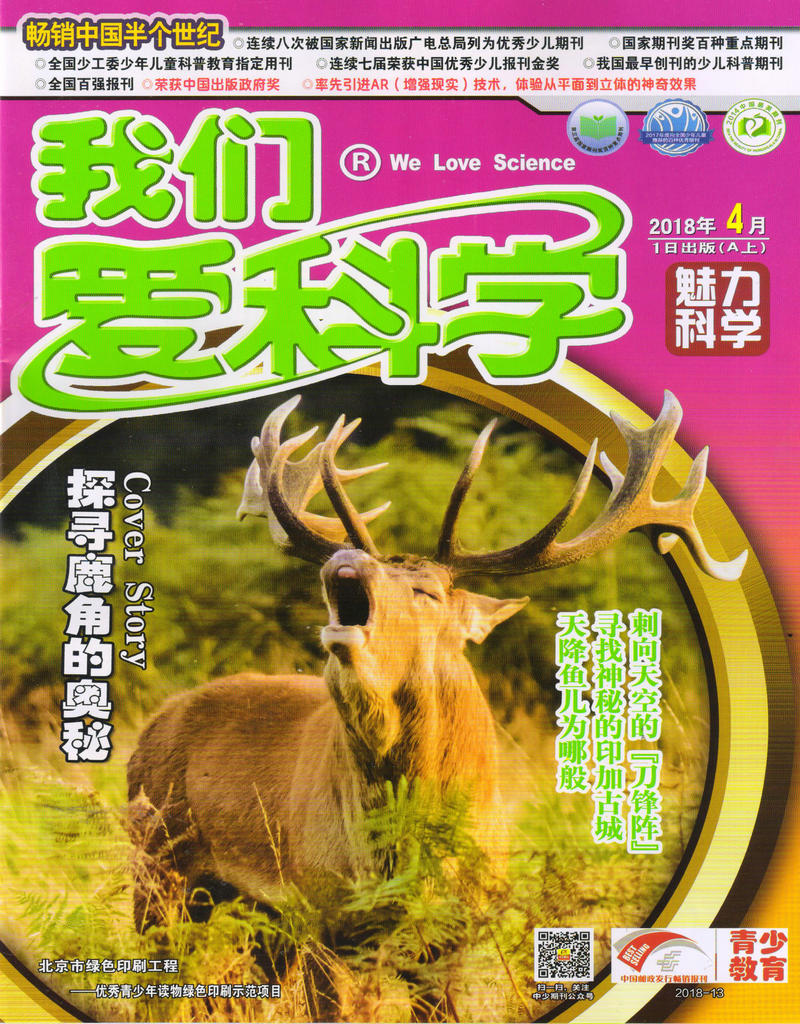 我们爱科学少年版（魅力科学+智慧百科）2018年4月号