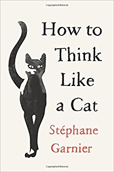 How to Think Like a Cat