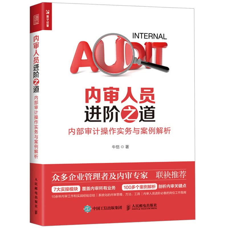 包邮 内审人员进阶之道 内部审计操作实务与案例解析 企业财务会计管理 内控风控审计书籍