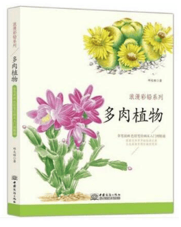 多肉植物/浪漫彩铅系列