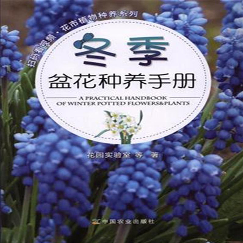 冬季盆花种养手册/扫码看视频花市植物种养系列