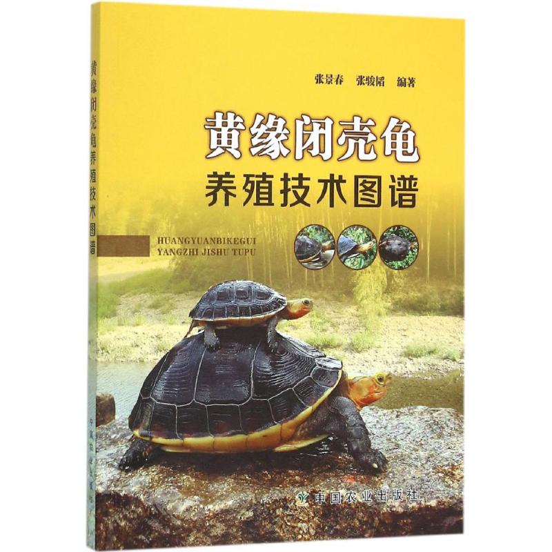 黄缘闭壳龟养殖技术图谱