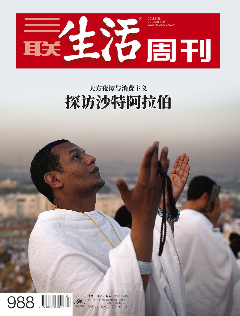 三联生活周刊（2018年第21期）