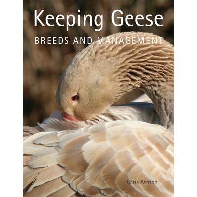 Keeping Geese: Breeds and Management