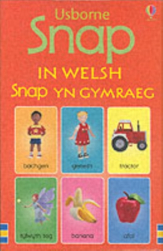 Snap in Welsh (Cards) Usborne英文原版
