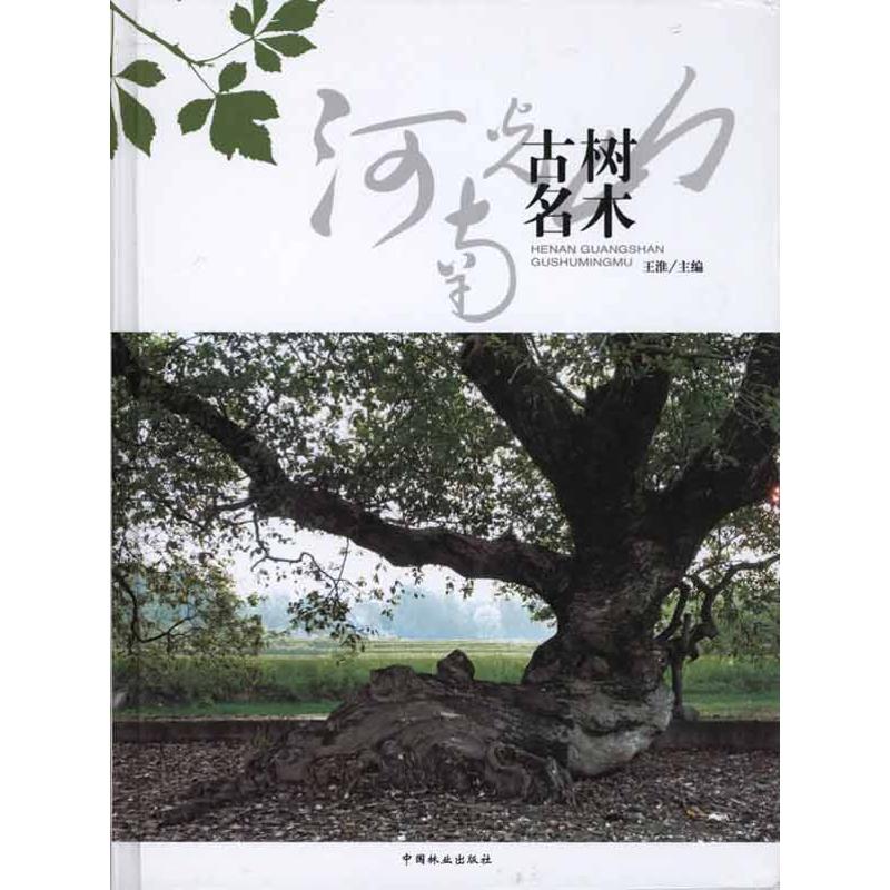 河南光山古树名木