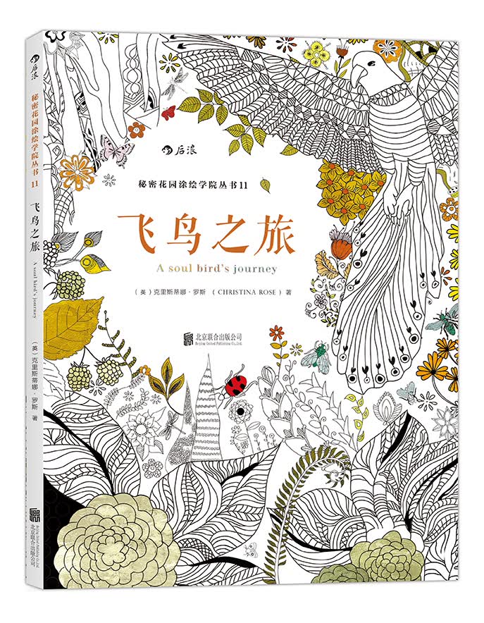 秘密花园涂绘学院丛书：飞鸟之旅