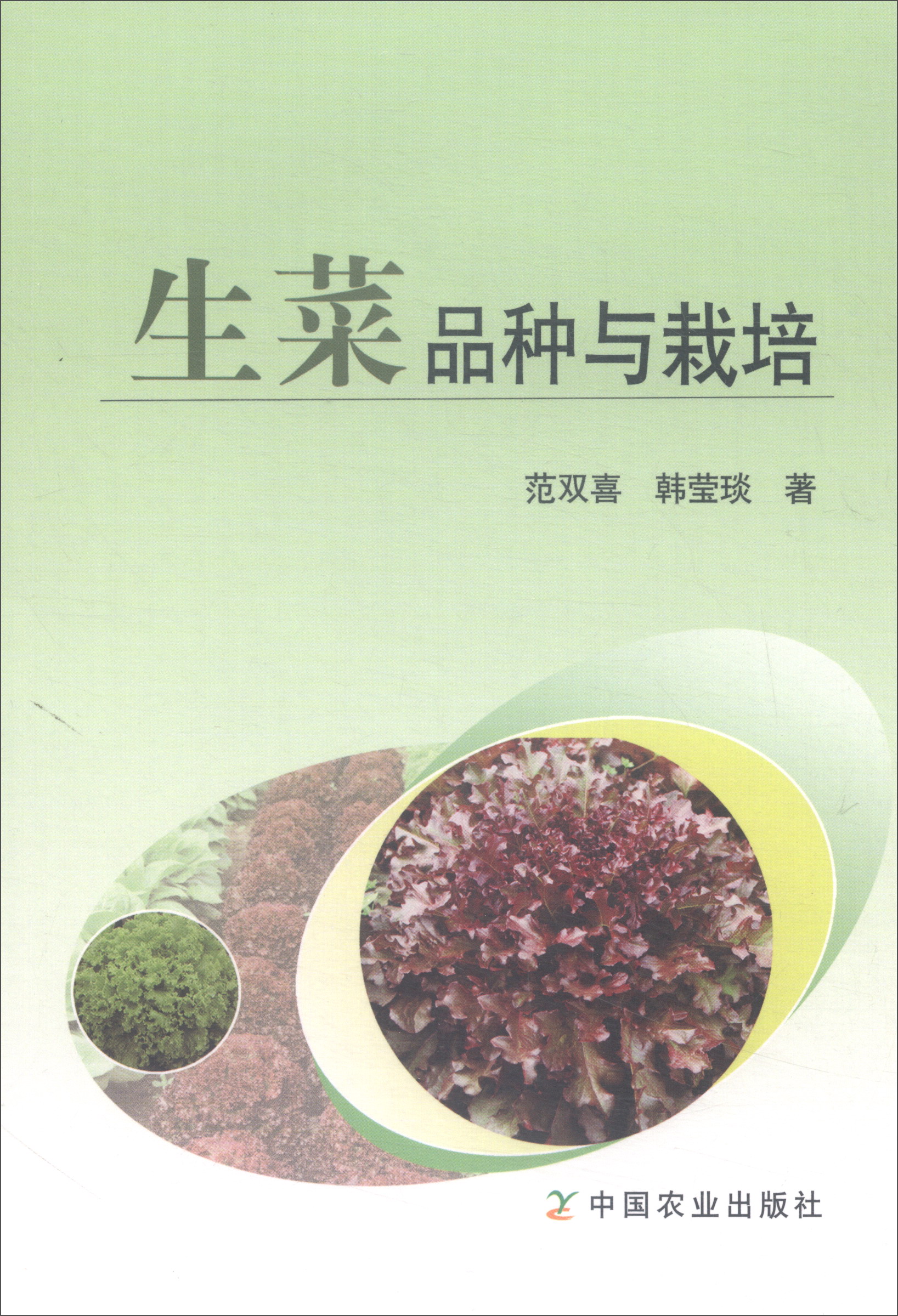 生菜品种与栽培