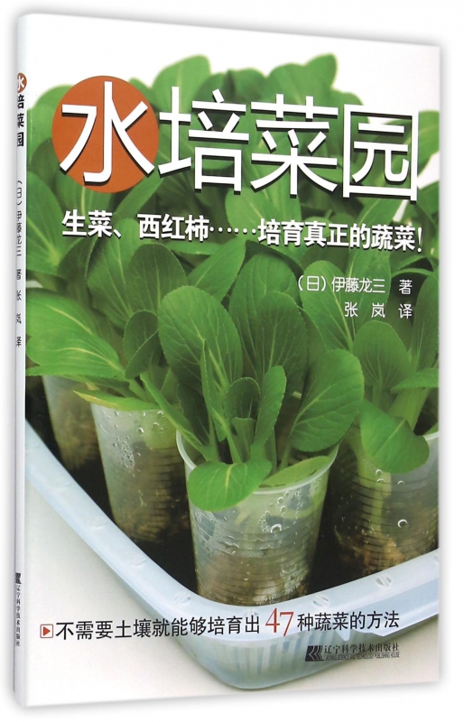 水培菜园