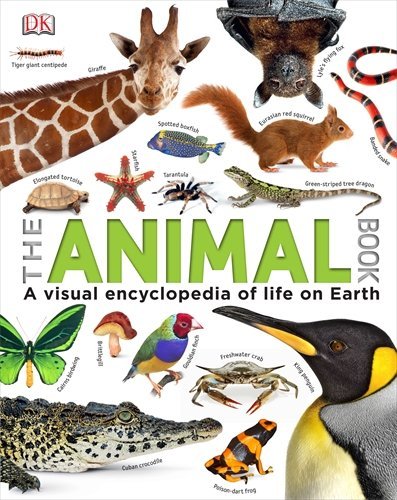 英文原版The Animal Book DK动物全书