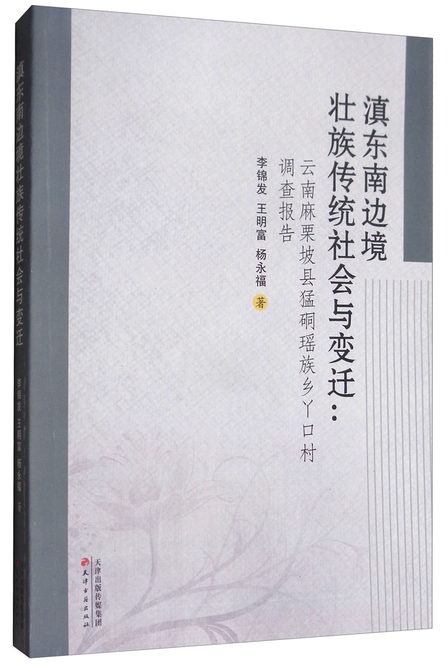滇东南边境壮族传统社会与变迁：云南麻栗坡县猛硐瑶族乡丫口村调查报告