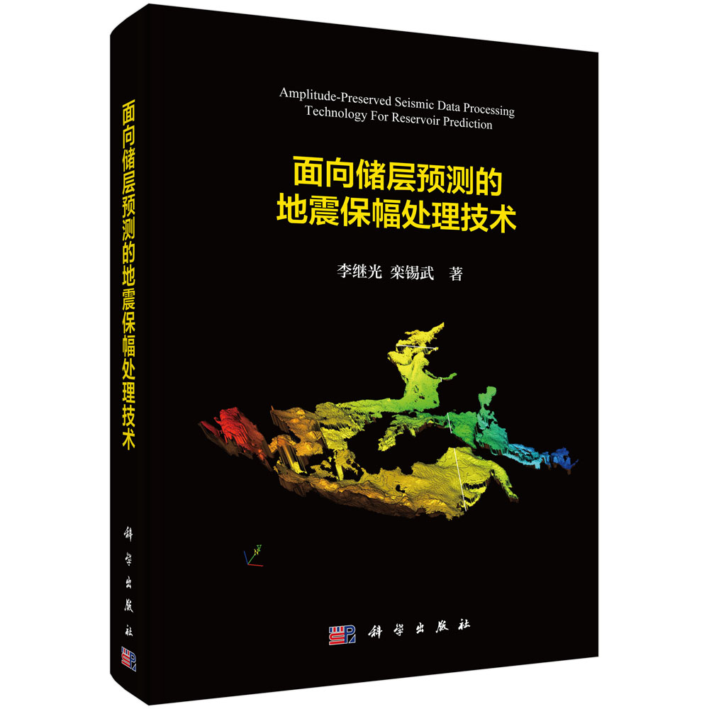 面向储层预测的地震保幅处理技术书籍 科学与自然 地球物理学