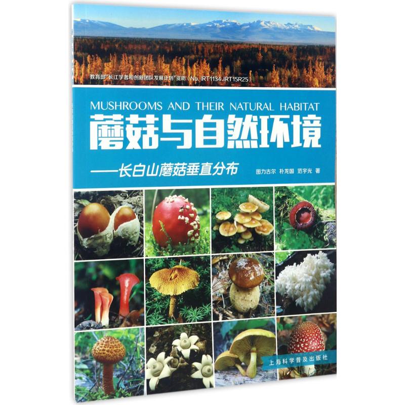 蘑菇与自然环境