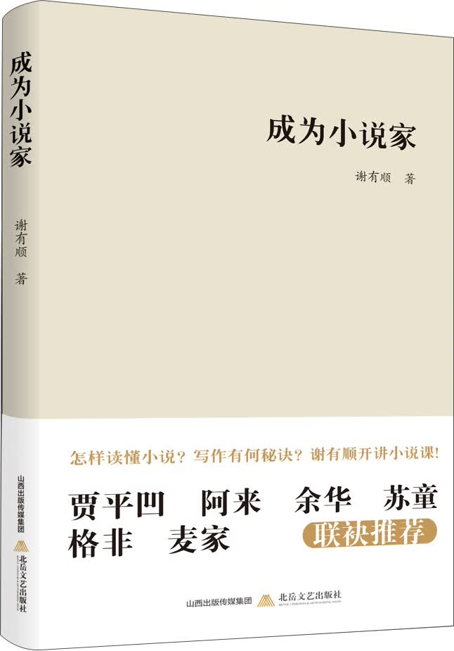 成为小说家