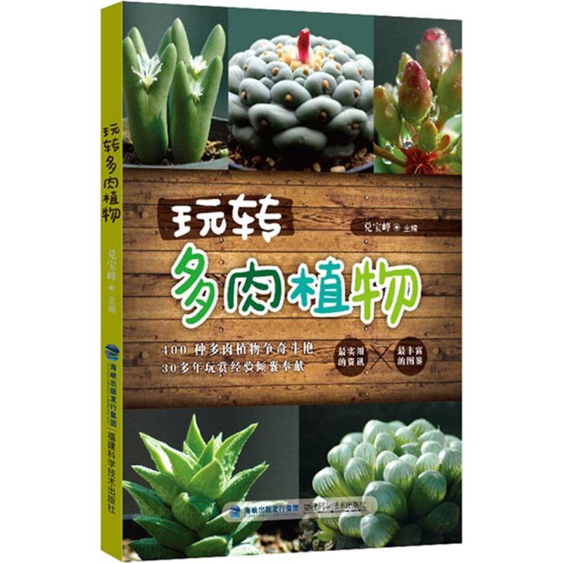 玩转多肉植物