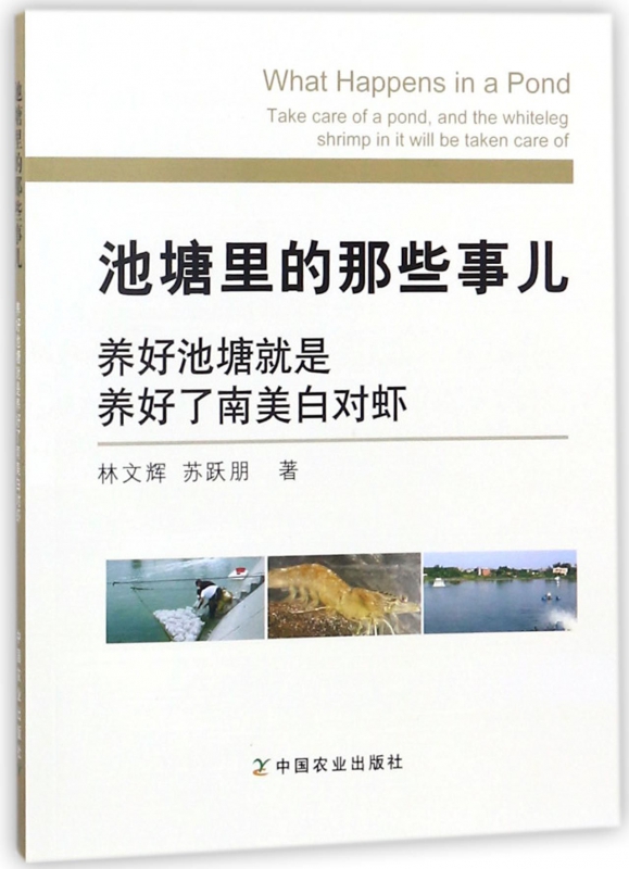 池塘里的那些事儿(养好池塘就是养好了南美白对虾)