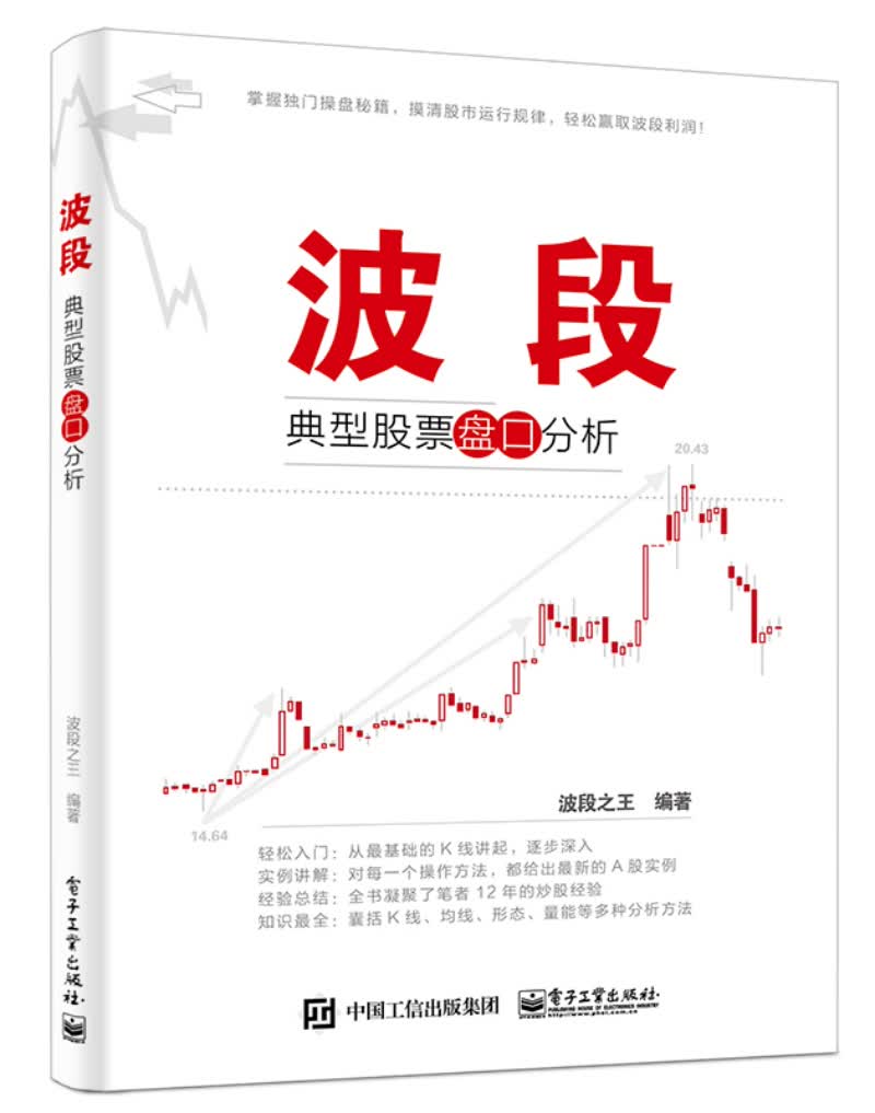 波段：典型股票盘口分析(博文视点出品)