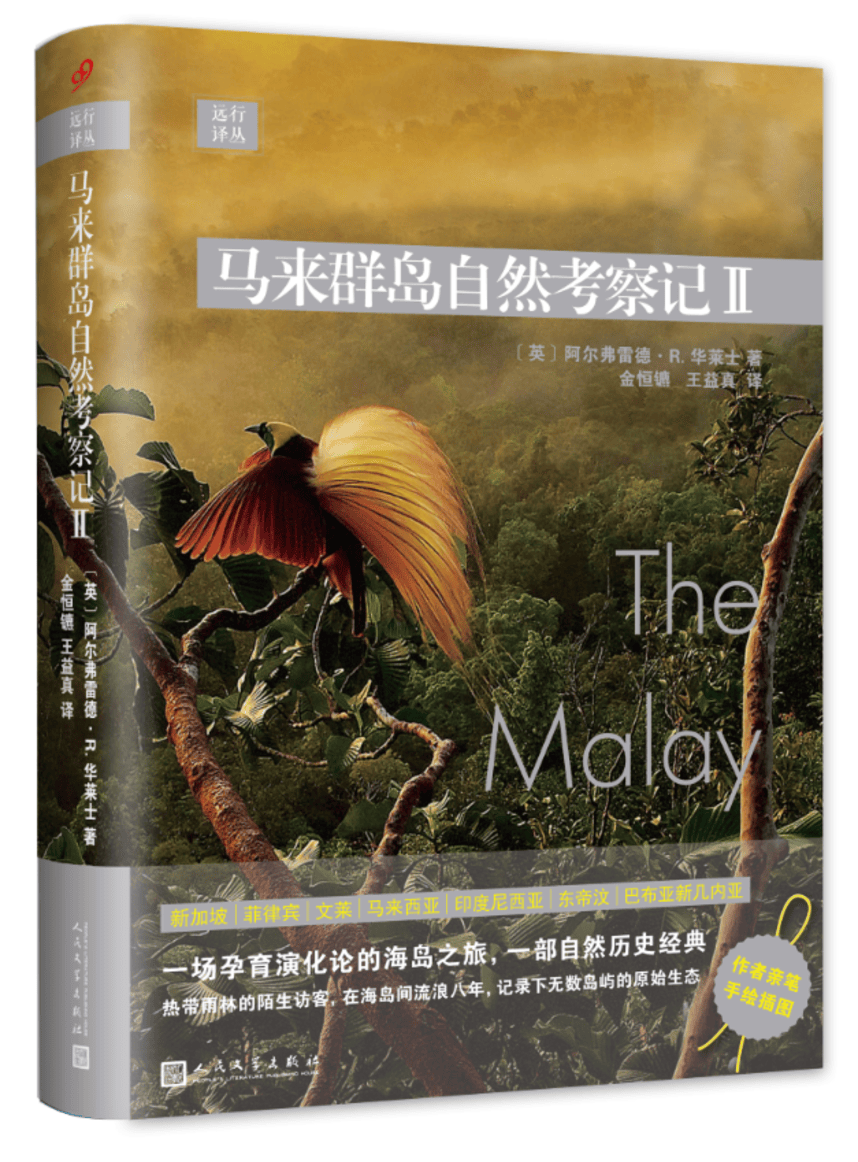 远行译丛：马来群岛自然考察记II（精装）