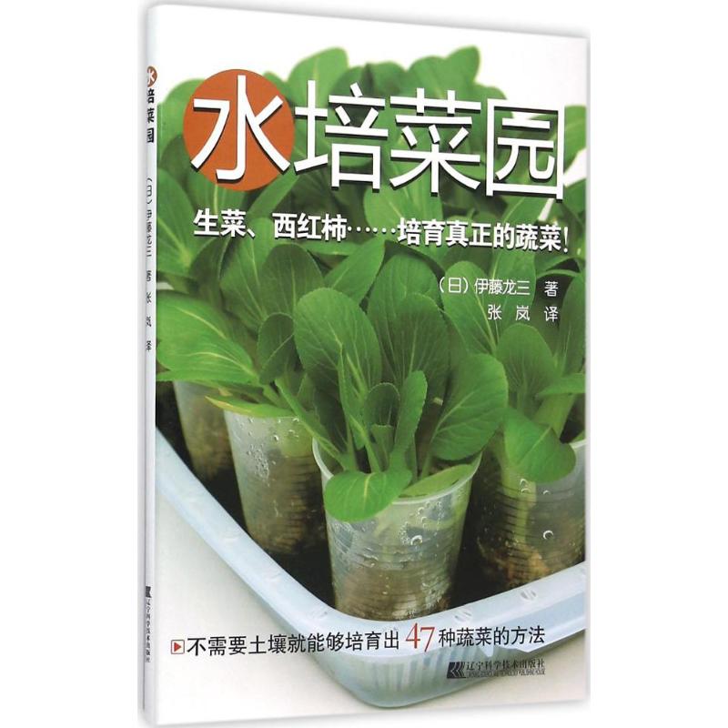 水培菜园