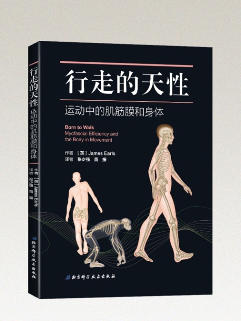 行走的天性—运动中的肌筋膜和身体
