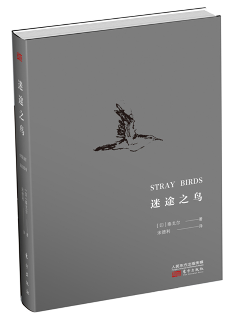 迷途之鸟