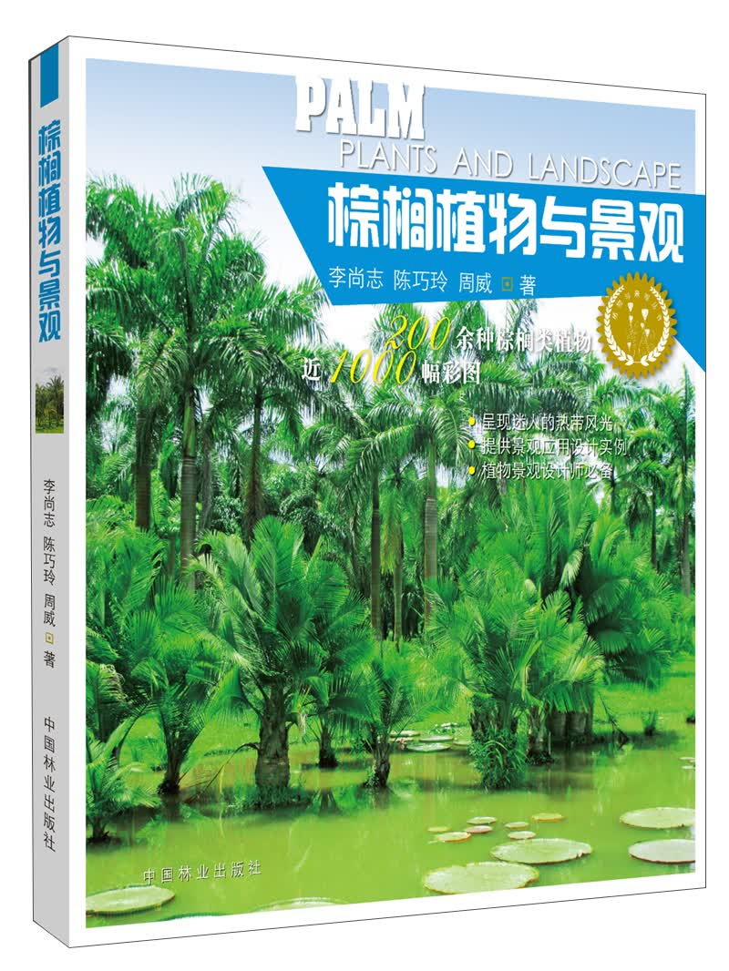 棕榈植物与景观