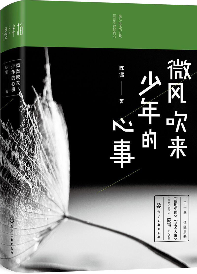 微风吹来少年的心事