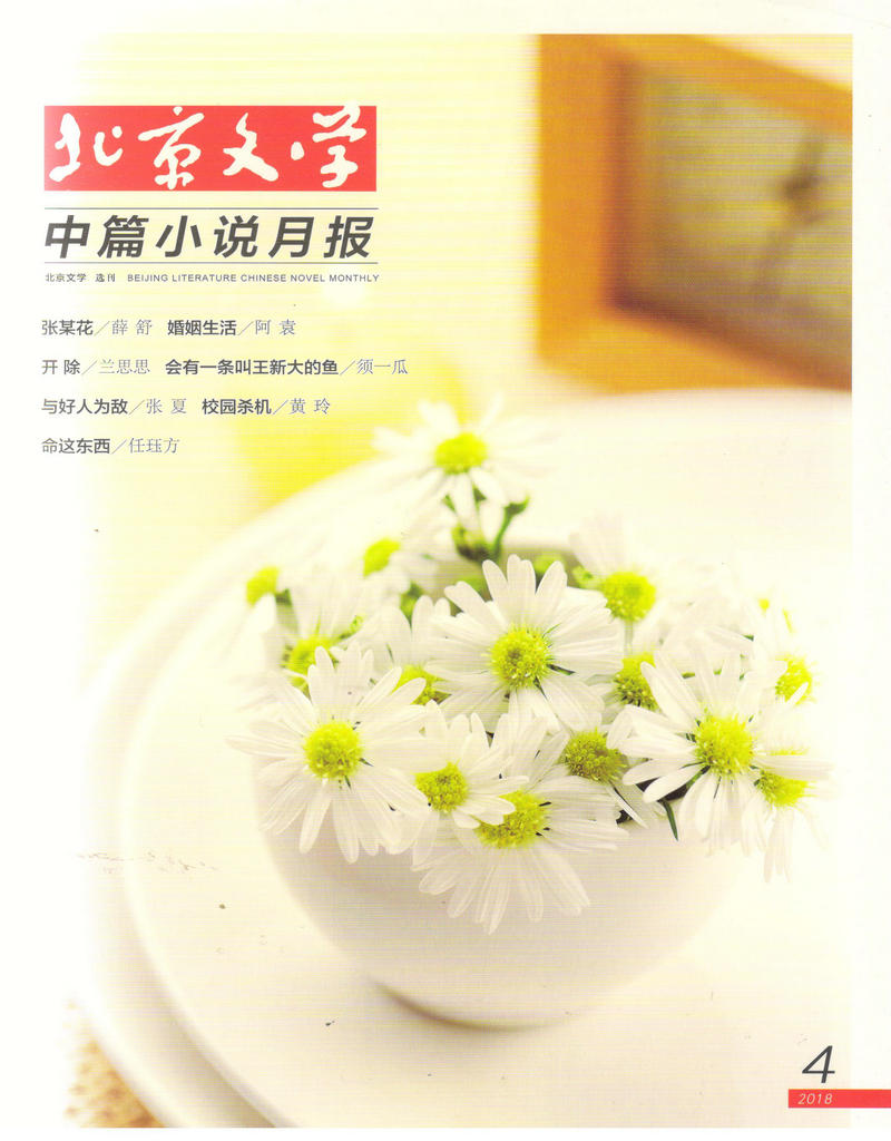 北京文学中篇小说月报（2018年4月号）