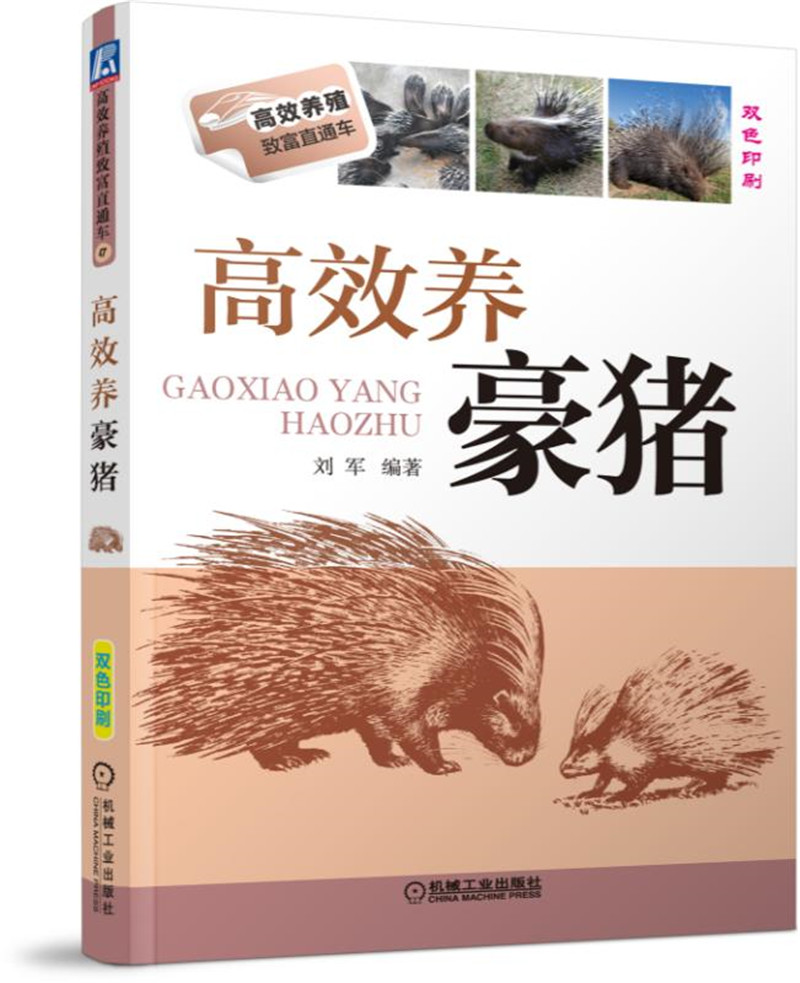 高效养豪猪