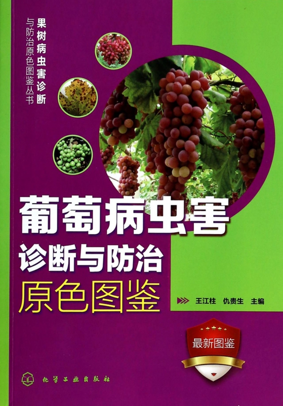 葡萄病虫害诊断与防治原色图鉴/果树病虫害诊断与防治原色图鉴丛书