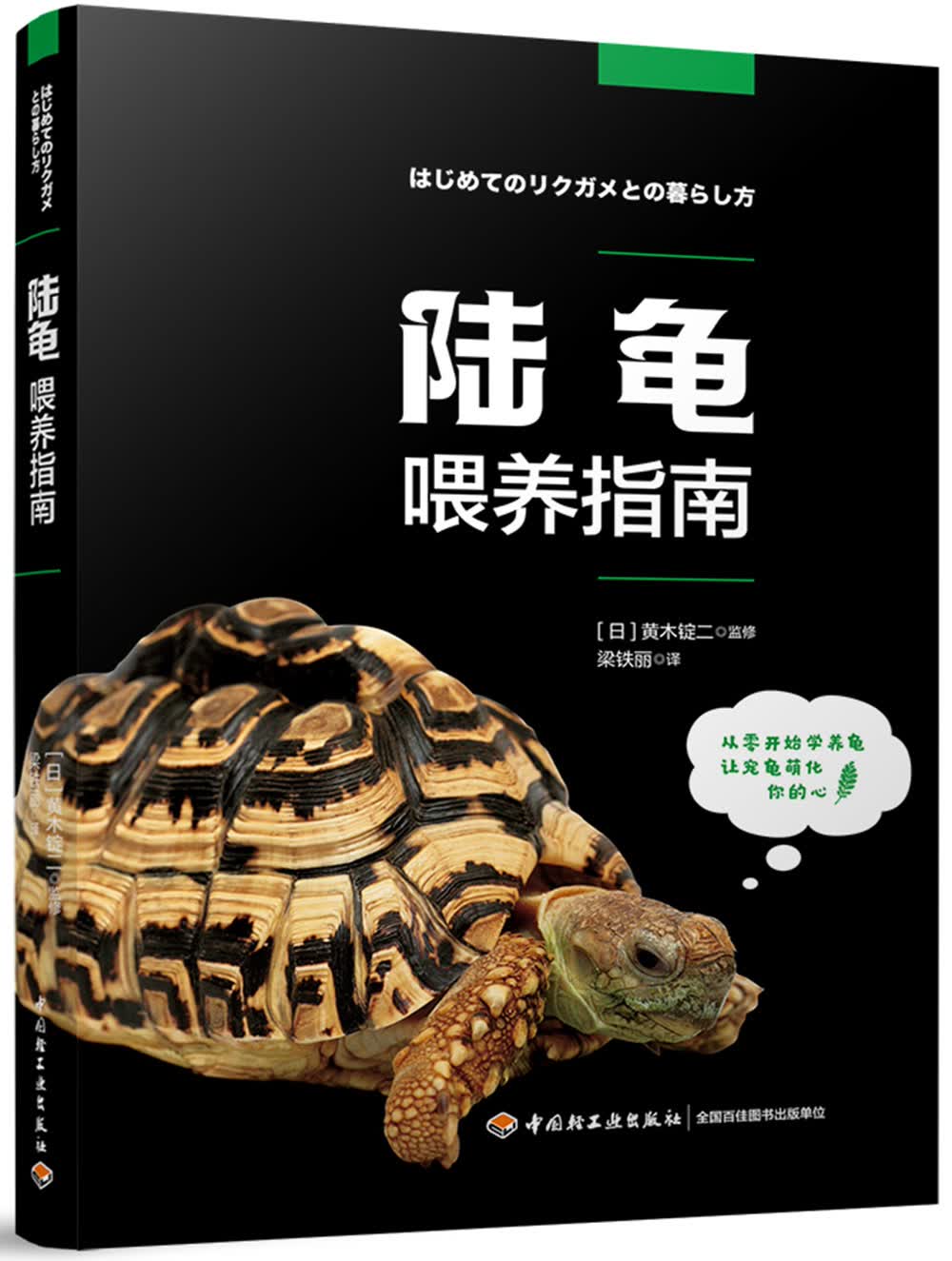 陆龟喂养指南