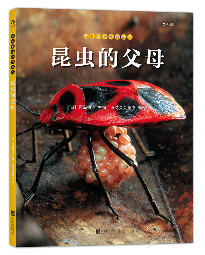 我们去找小昆虫5：昆虫的父母