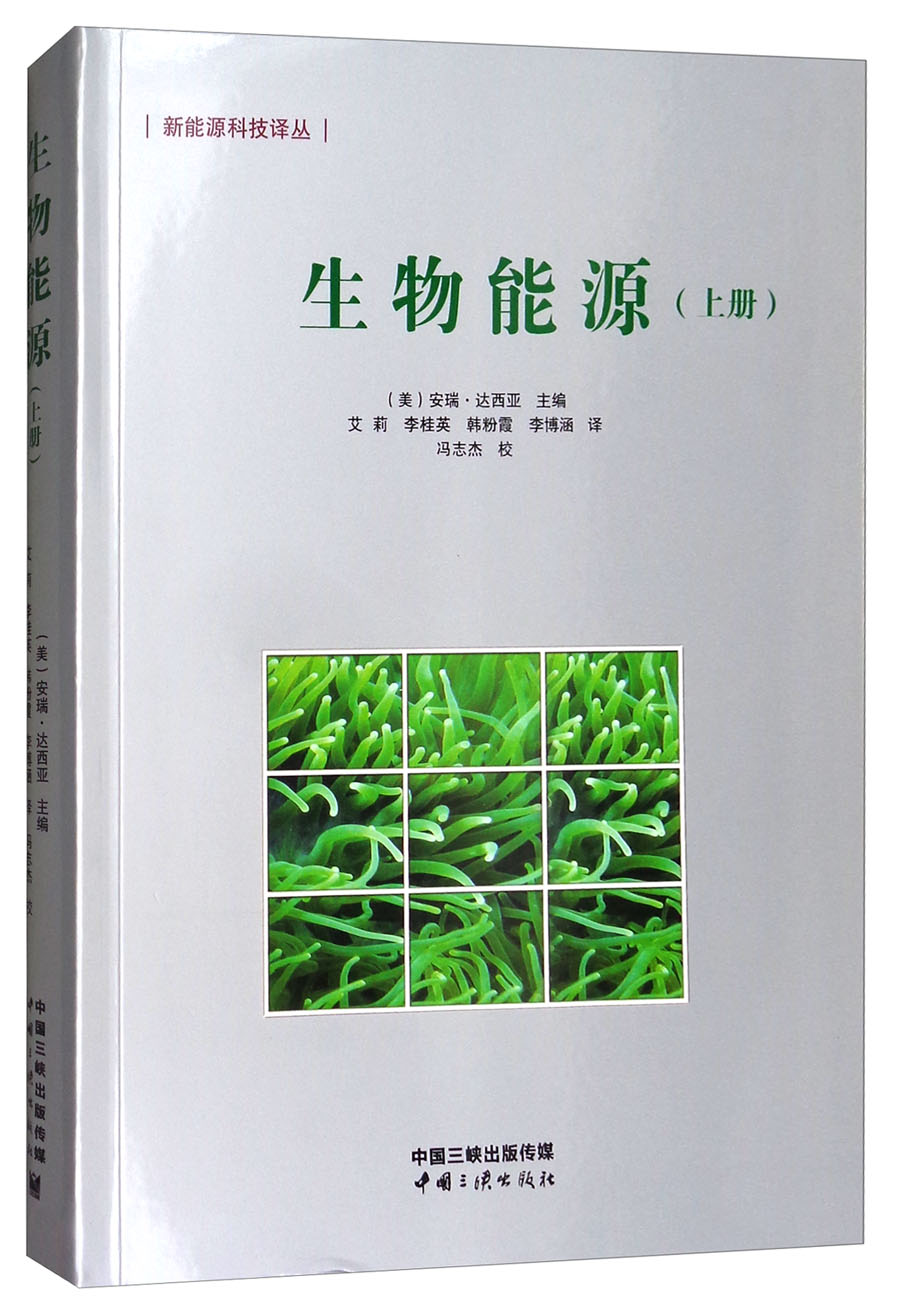 生物能源（上册）/新能源科技译丛