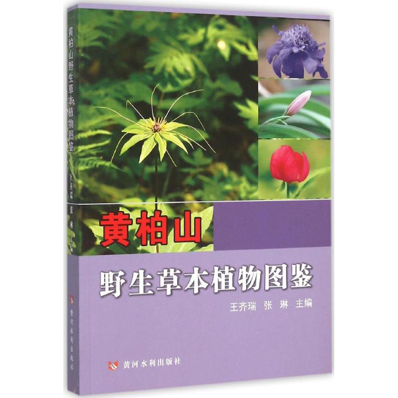 黄柏山野生草本植物图鉴
