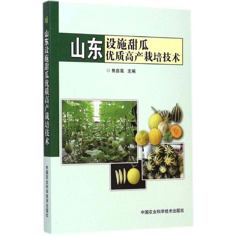山东设施甜瓜优质高产栽培技术