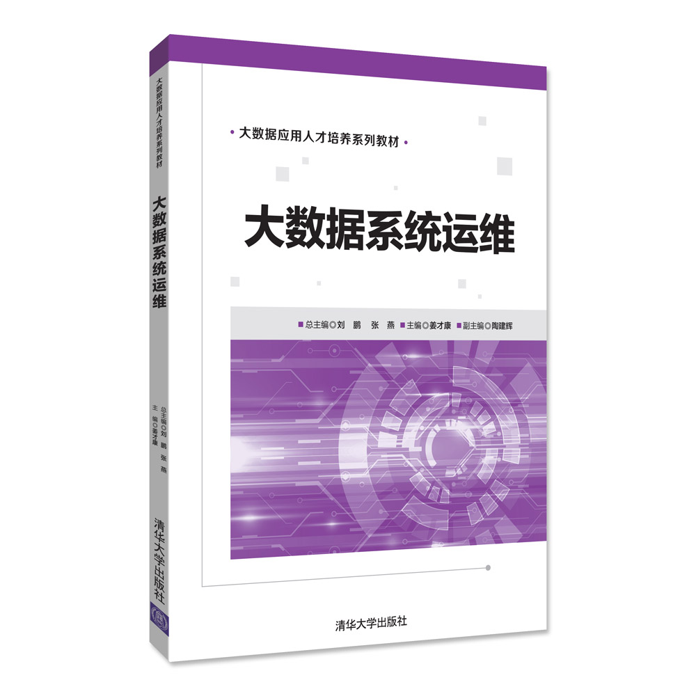 大数据系统运维（大数据应用人才培养系列教材）