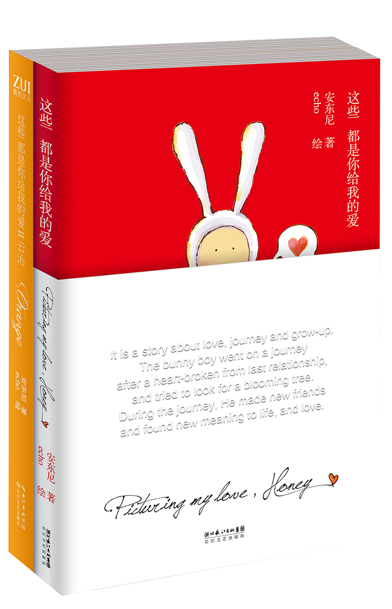 这些都是你给我的爱（套装共2册）
