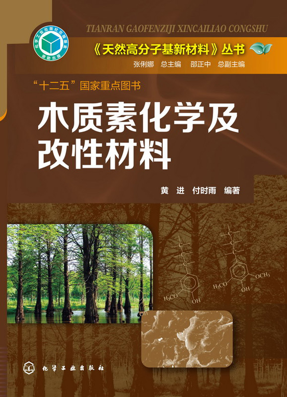 木质素化学及改性材料