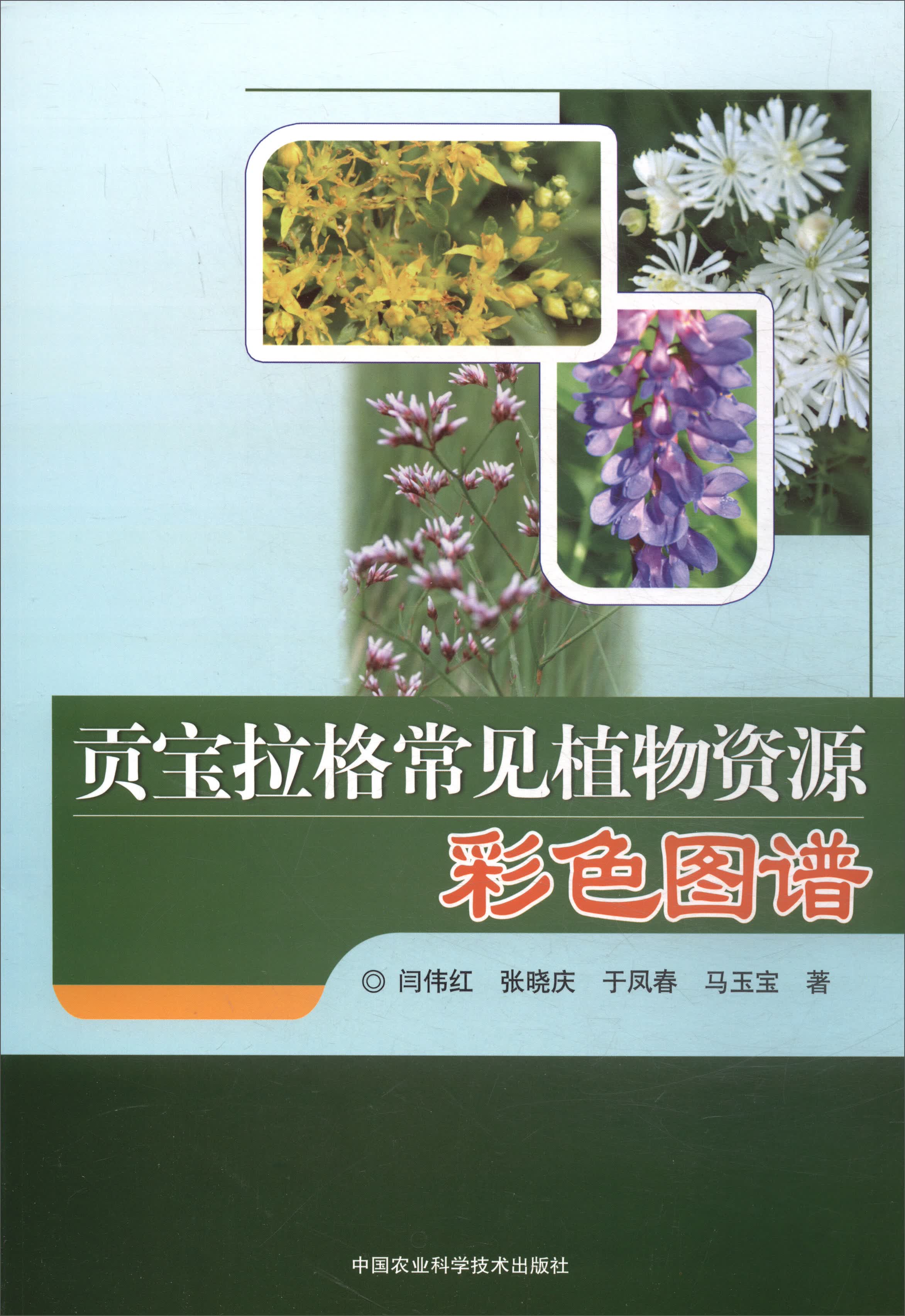 贡宝拉格常见植物资源彩色图谱